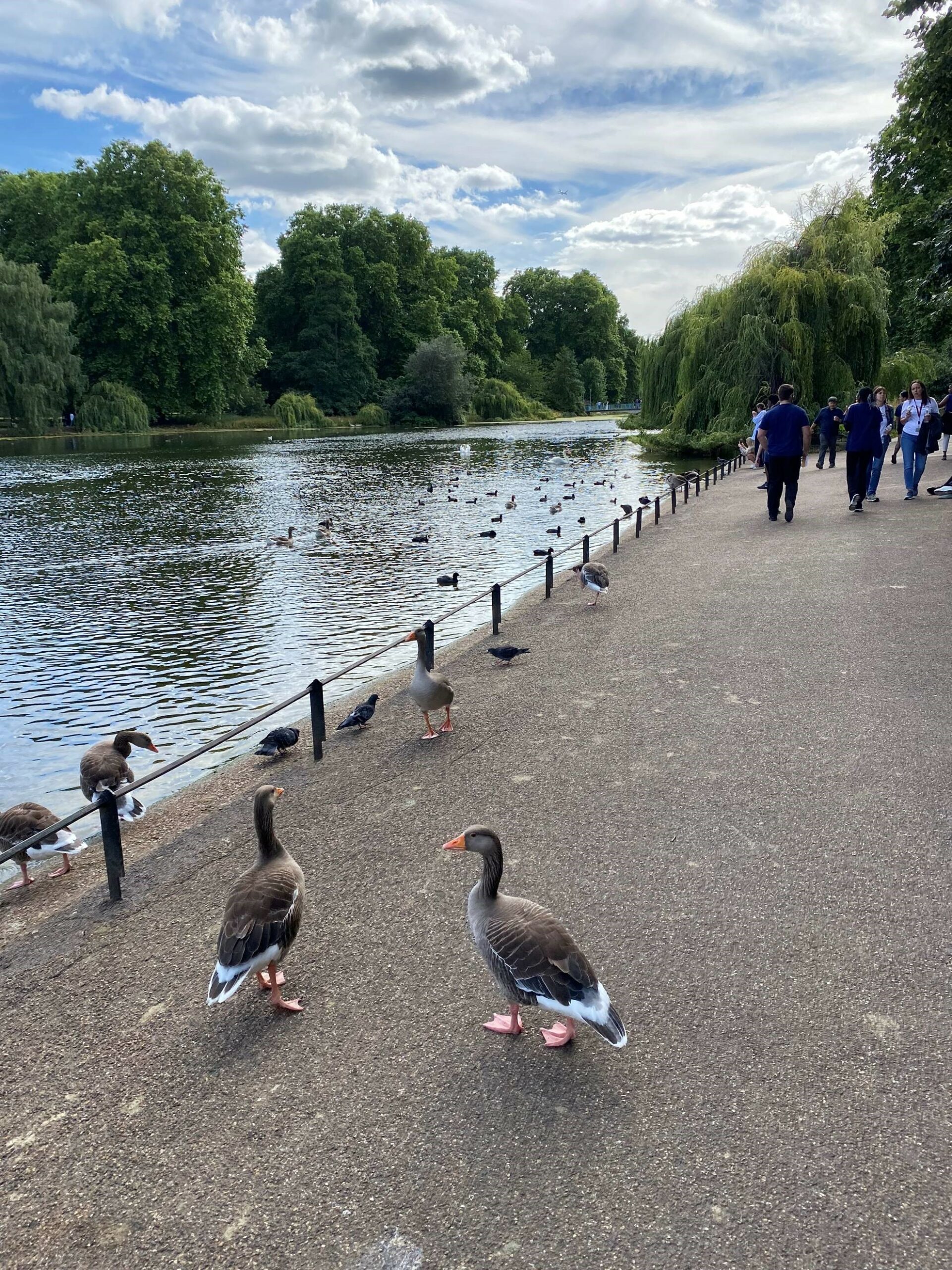 Events and seminars with Temple Legal Protection